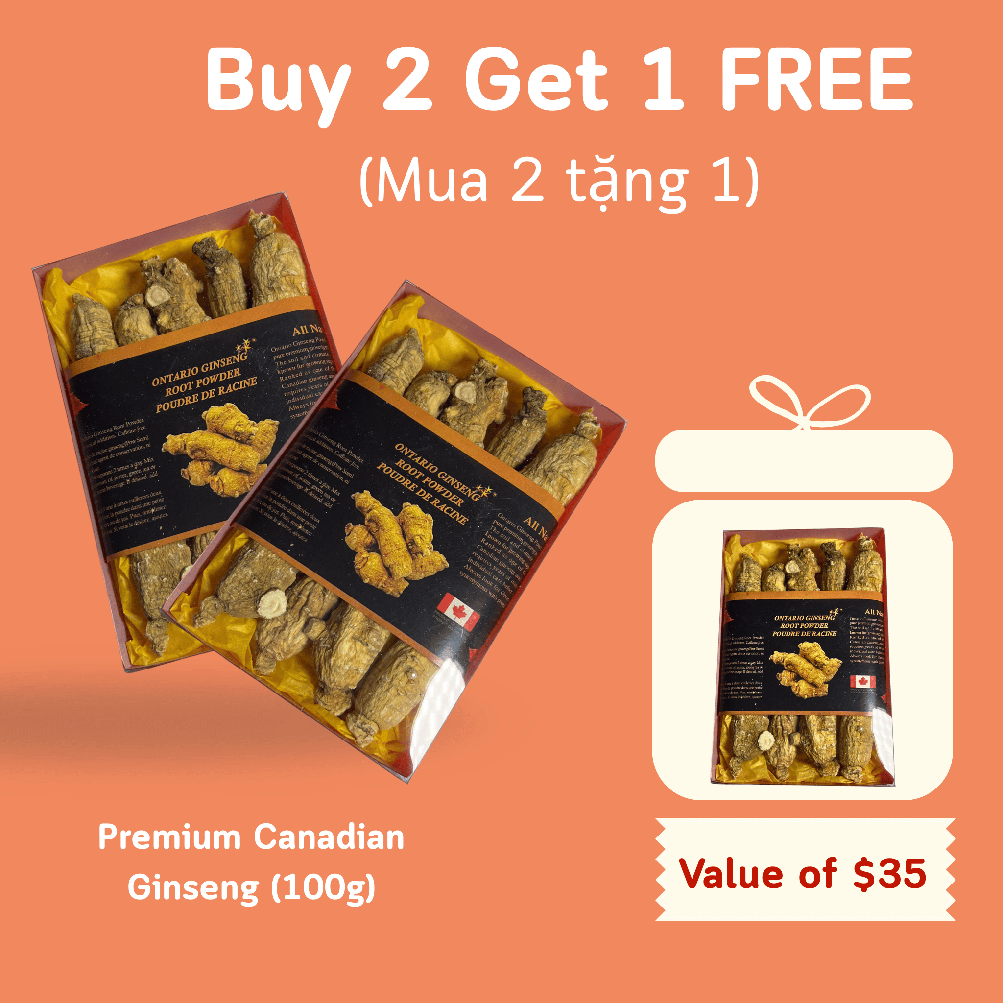Premium Canadian Ginseng (100g) – Bánh Mart- Authentic Vietnamese ...